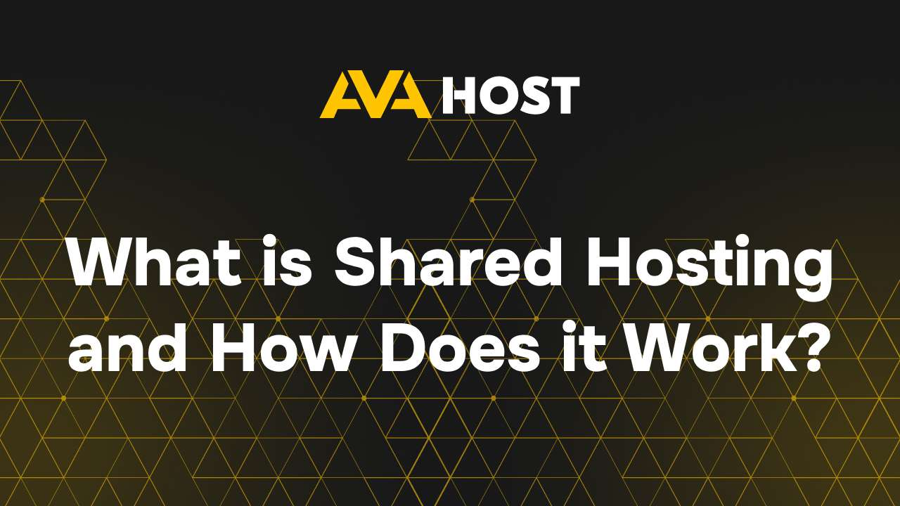 What is Shared Hosting and How Does it Work? ⋆ AVA.HOSTING